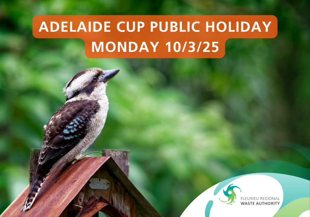 Adelaide Cup public holiday 2025 - FRWA